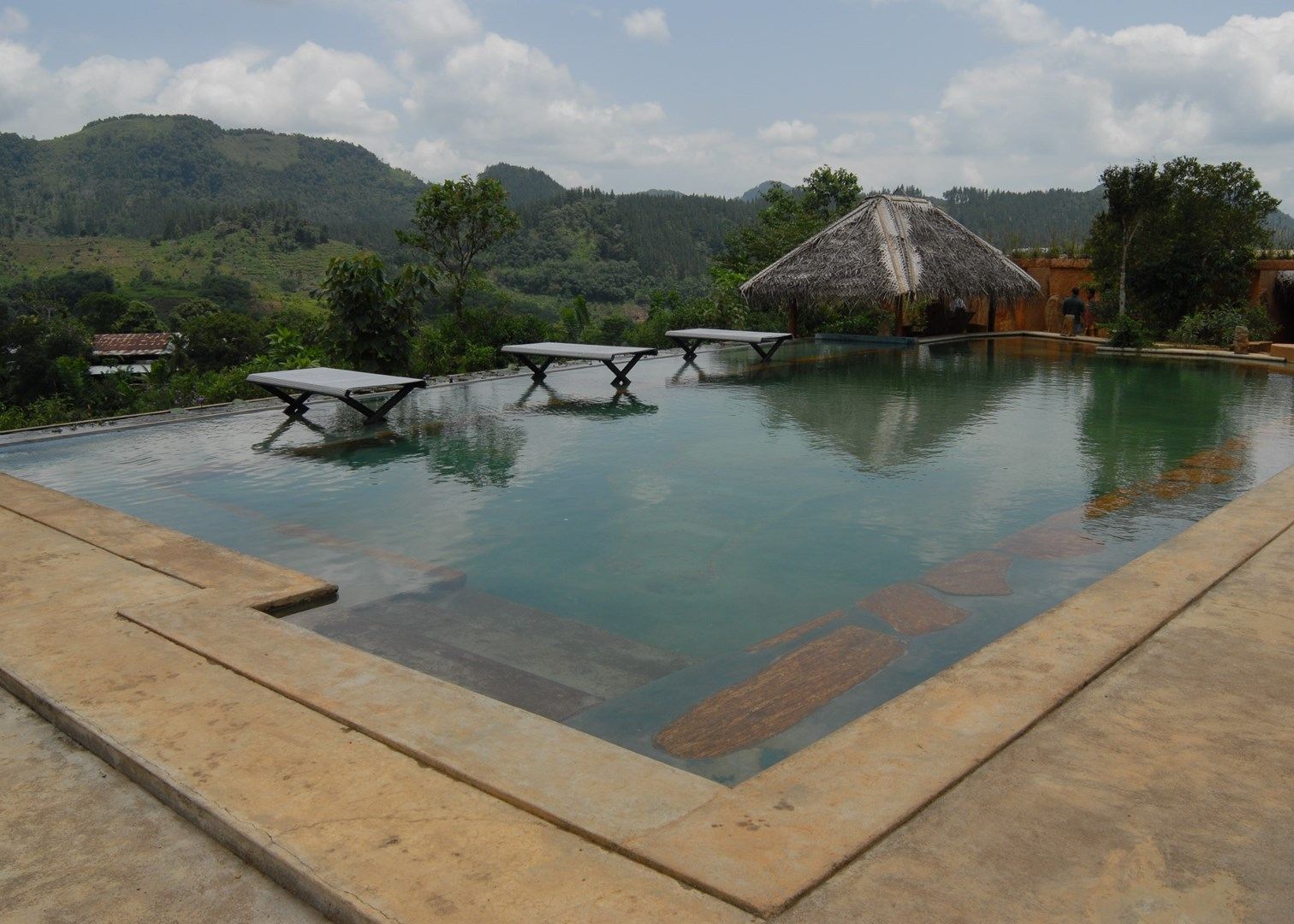 Rainforest Edge | Travel Gallery