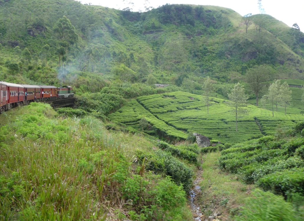 AMBA Estate | Travel Gallery