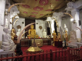 Kandy Area | Travel Gallery