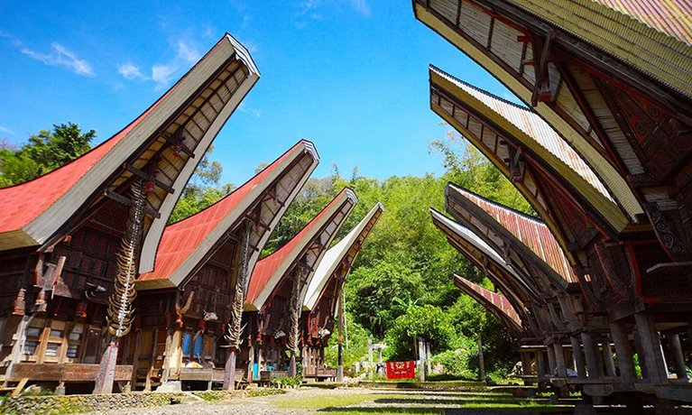 Sulawesi | Travel Gallery