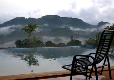 Rainforest Edge | Travel Gallery